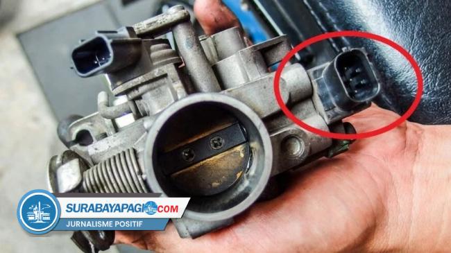 Sensor TPS Motor: Pengertian, Fungsi, dan Gejala Kerusakannya