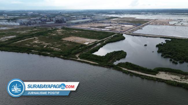 Dugaan Pelanggaran Ruang Laut di JIIPE Gresik Disorot, Potensi Sanksi ...